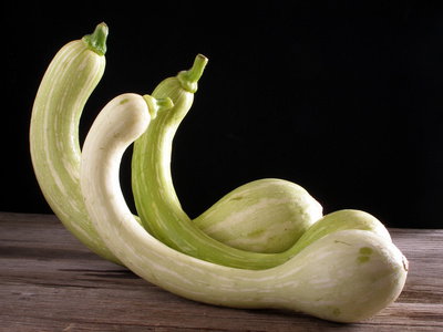 Une courgette trompette au petit goût de noisette ? Découvrez la ...